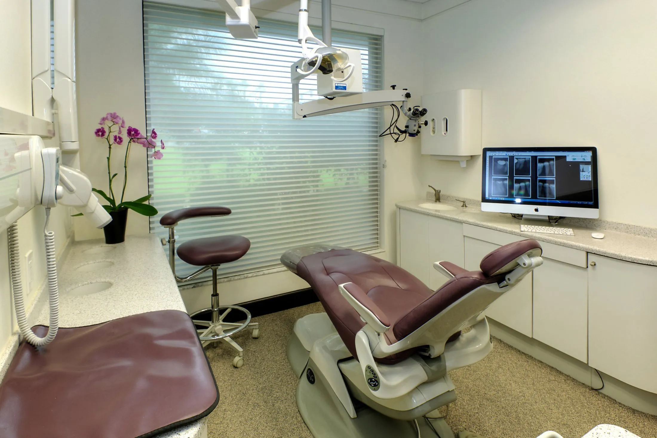 Endodontic Associates Office Tour Clearwater FL